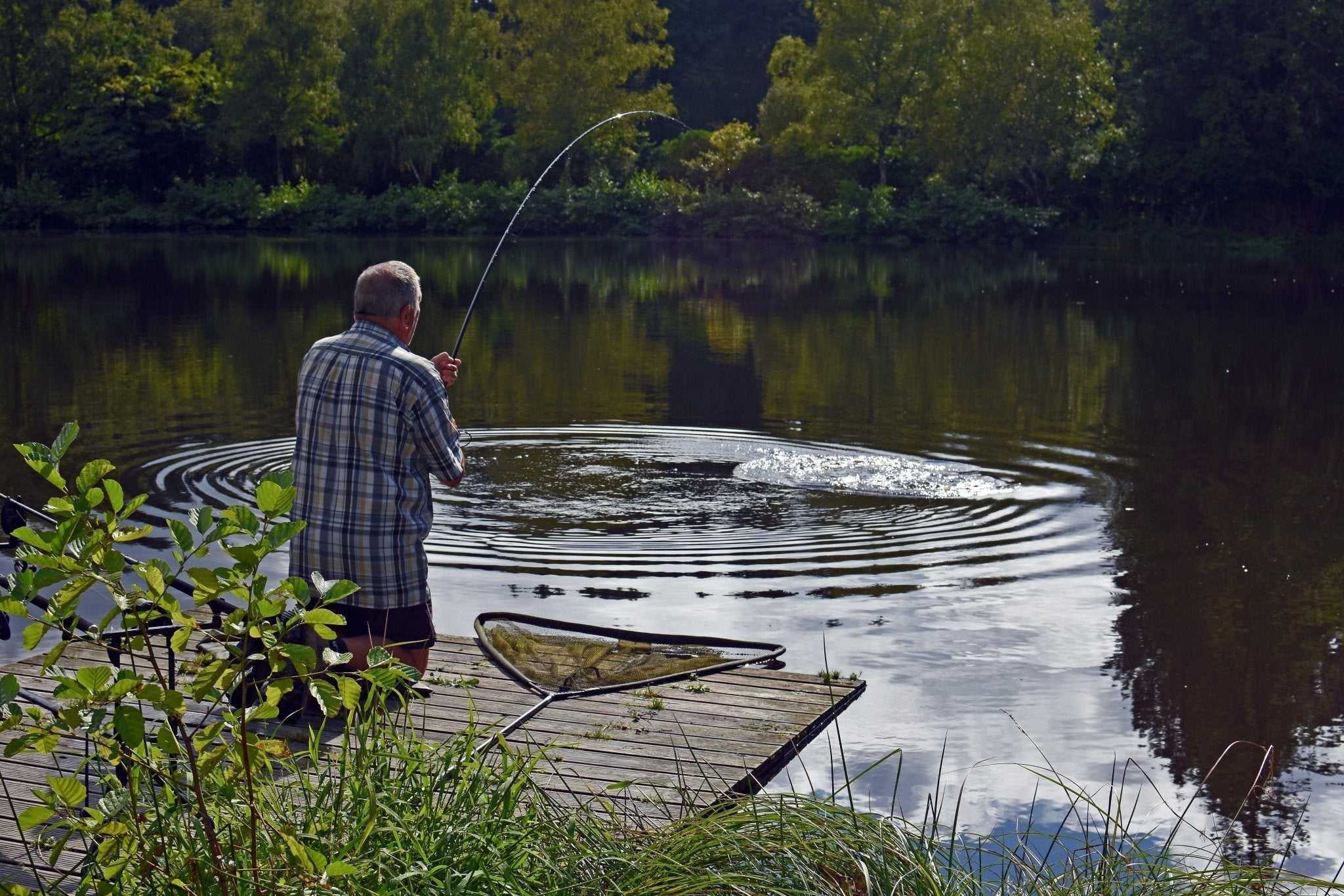 Spring carp fishing – Haith's UK