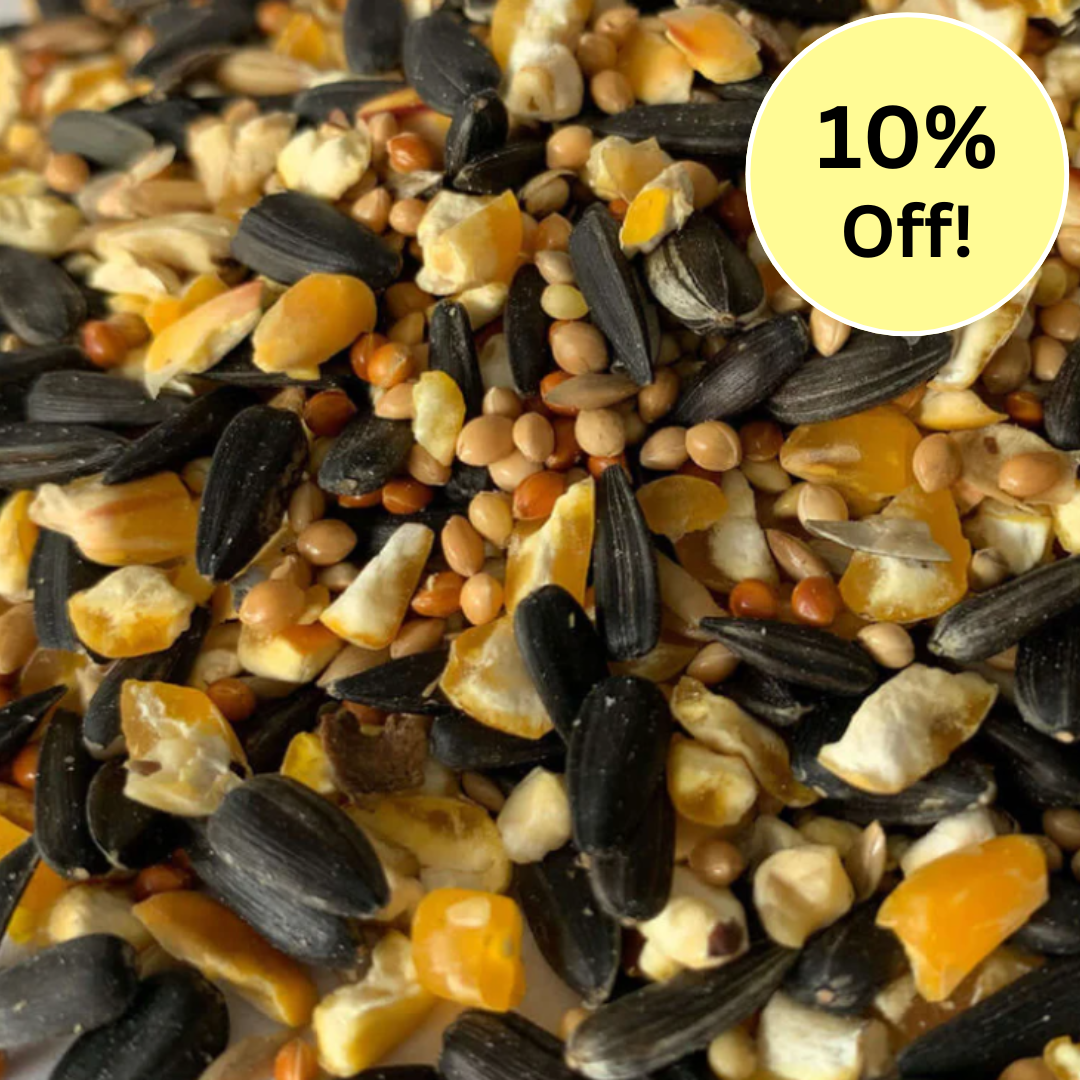 Buy no wheat wild bird food | bird seed pigeons won't eat