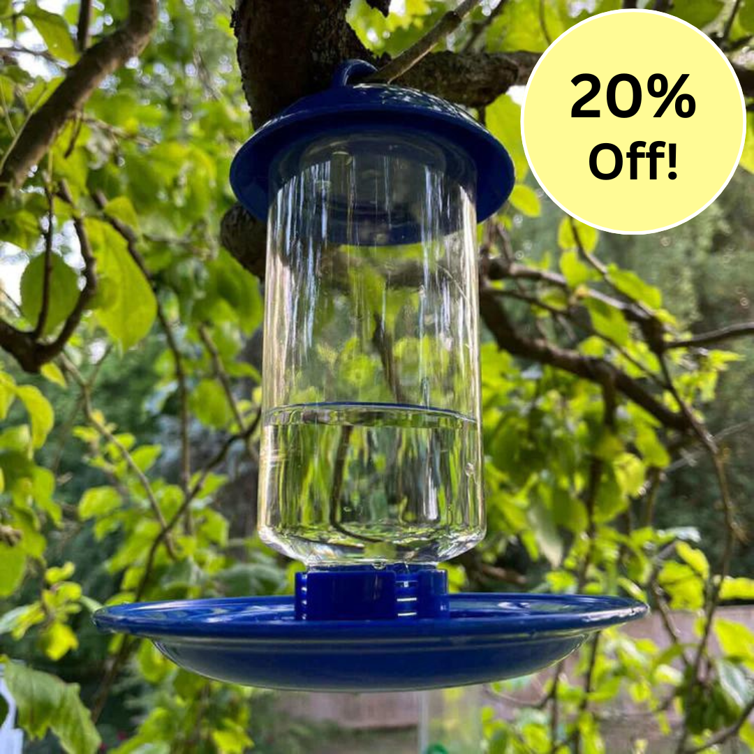 Drink Up! Water Feeder for garden birds