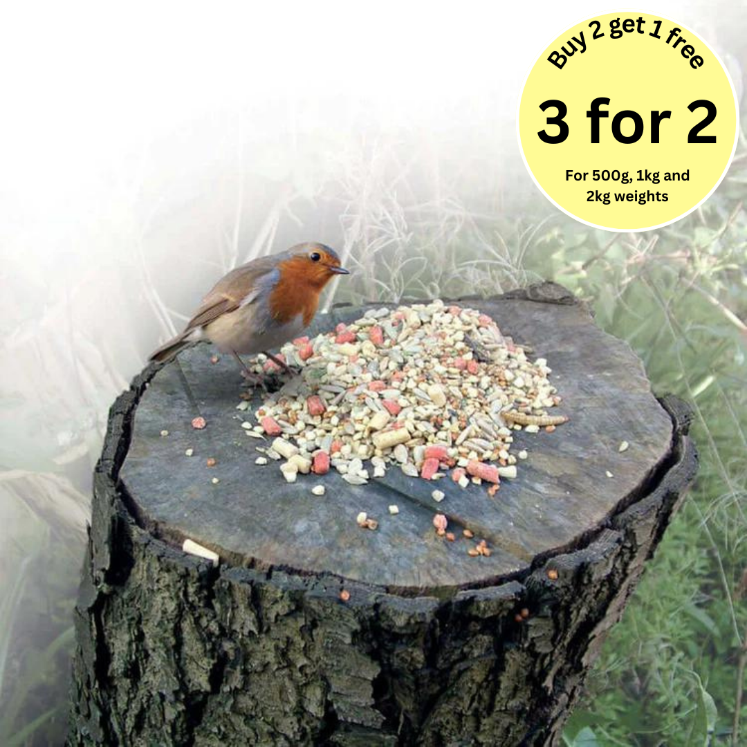 Buy a Bird Food for Robins | Haith's Fat Robin mix