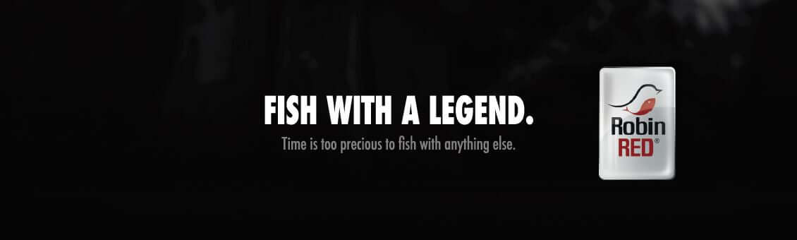 Carp Fishing Bait Ingredients