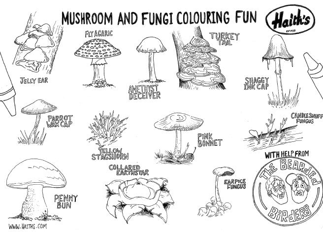 Downloadable Colouring Pages – Haith's UK
