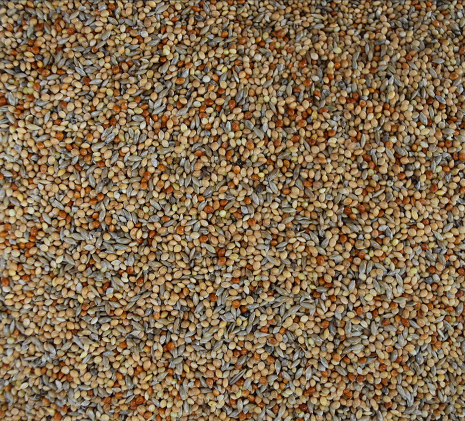 Over 100 Cage & Aviary Foods – Haith's Bird Food