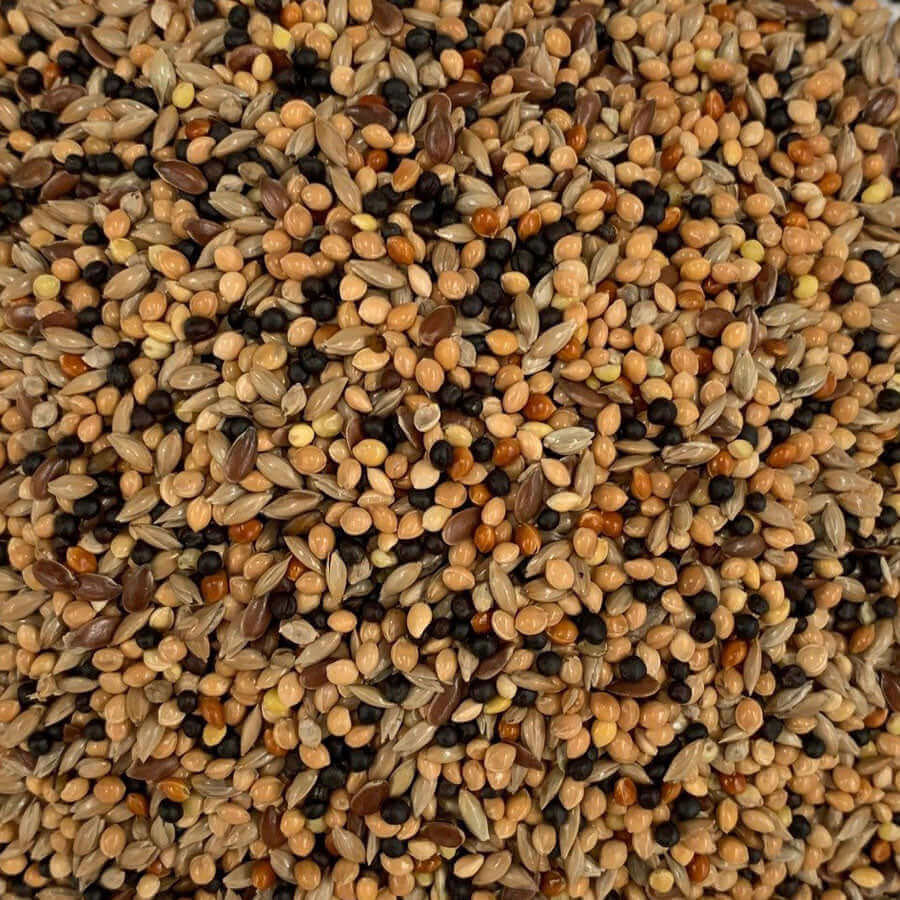 Aviary Mix for seed-eating cage birds – Haith's UK