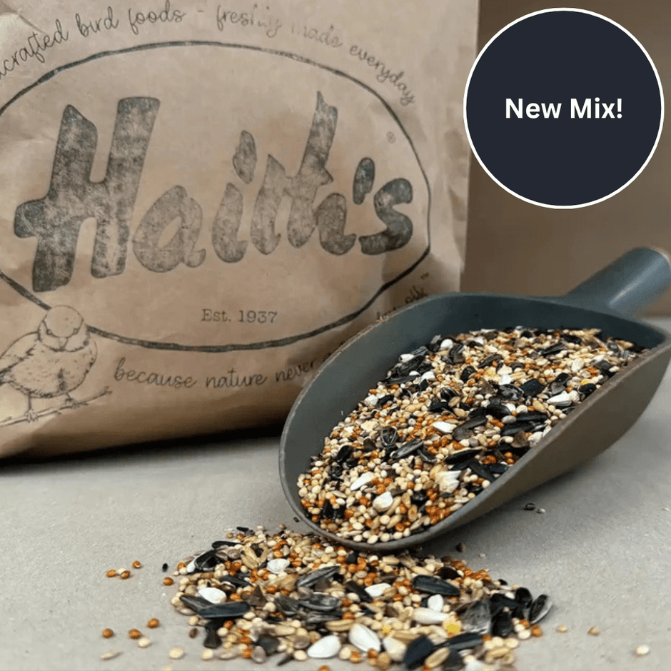 The ultimate SuperRed article - part one – Haith's UK