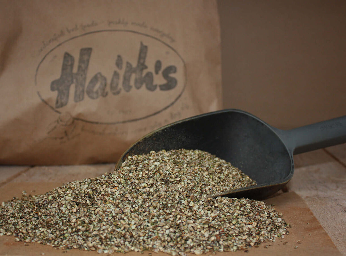 Crushed Hemp Seed for carp fishing – Haith's UK