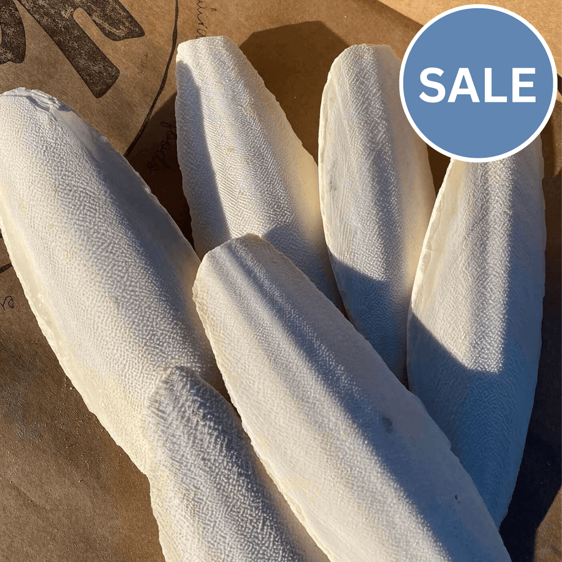 Why Cuttlefish Bone is Good for Birds – Haith's