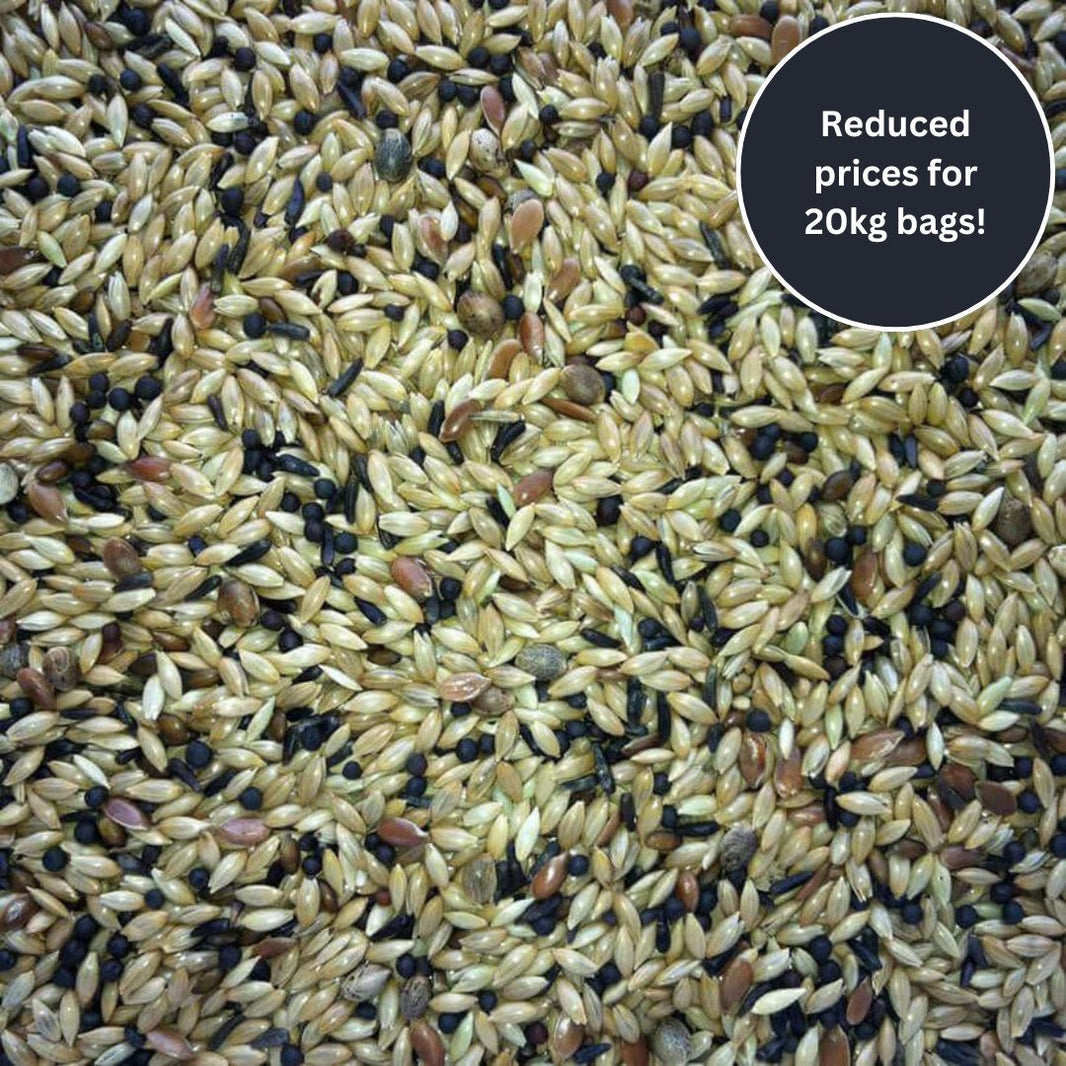 Canary Food and Seed Mixes – Haith's