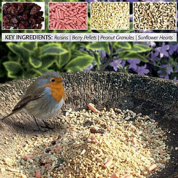 Buy Bird Food, Bird Feeders & Bird Seed Online | Haith's