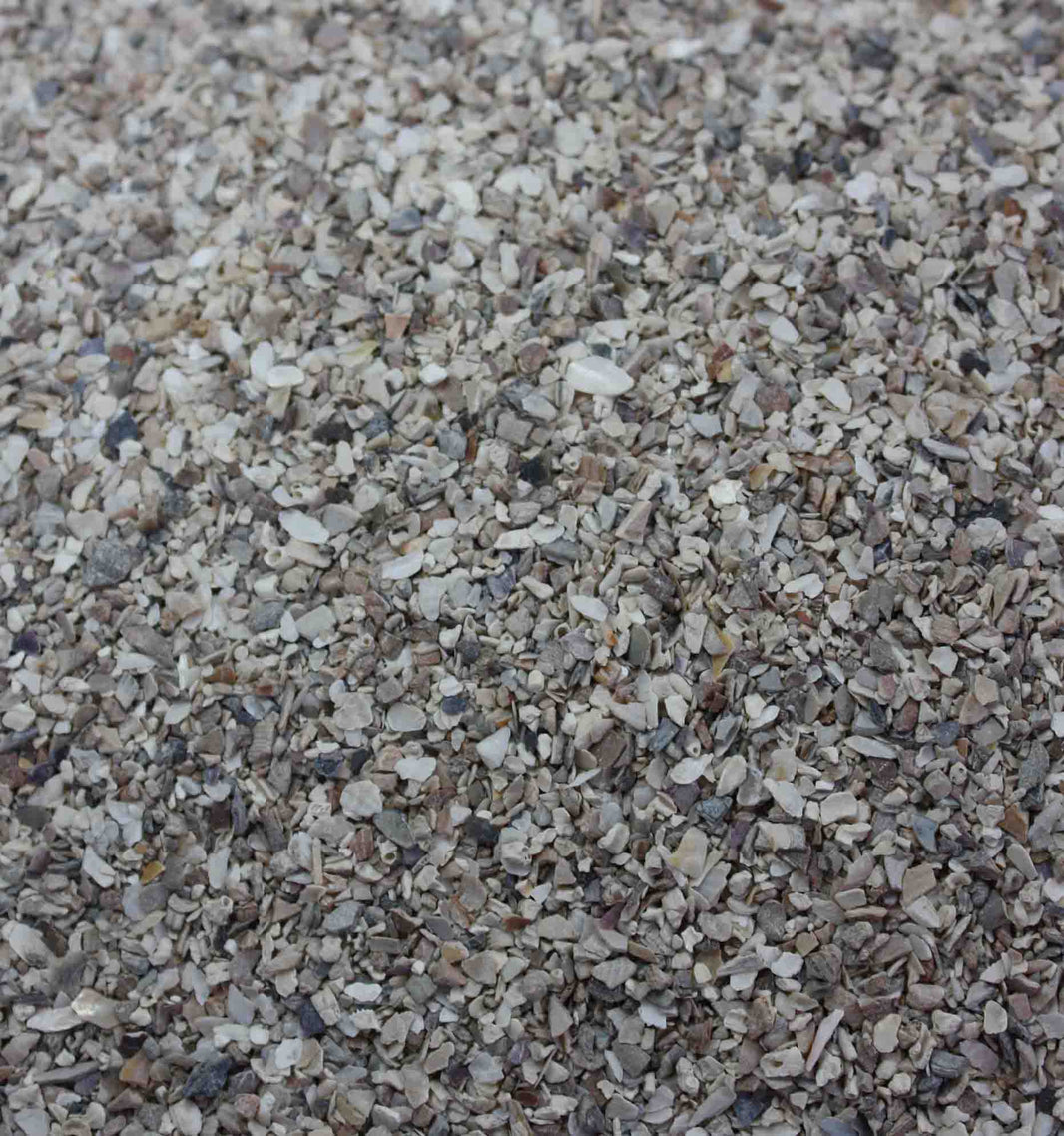 Canary Food and Seed Mixes – Haith's UK