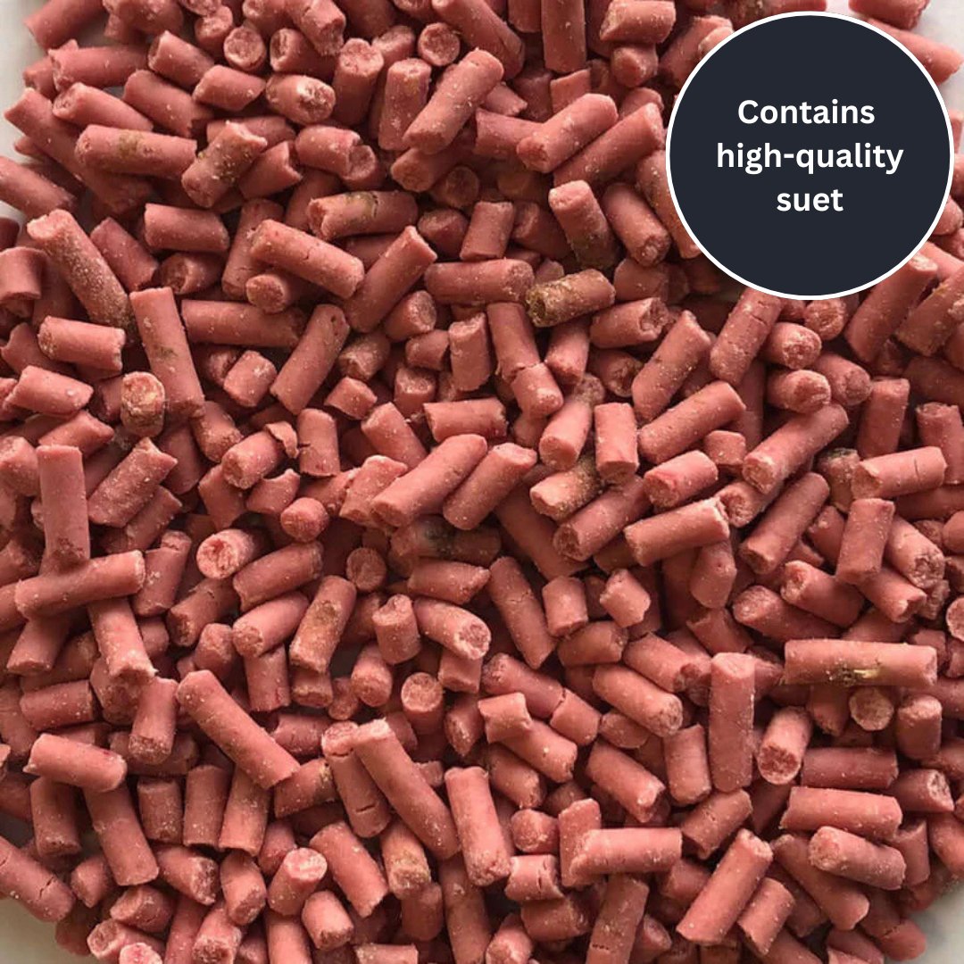 Hi-Energy Berry Suet Pellets – Haith's