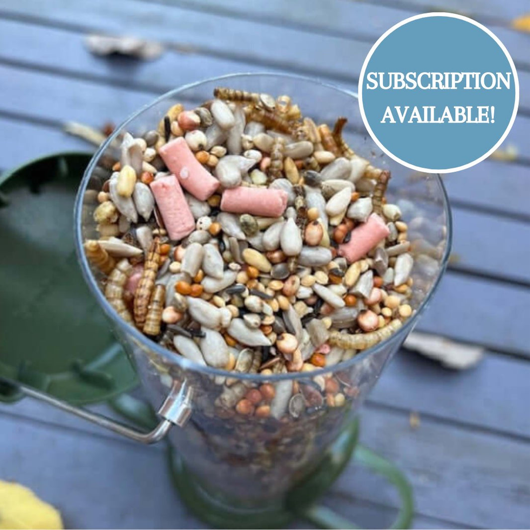 High-Quality Bird Seed Mixes – Haith's UK