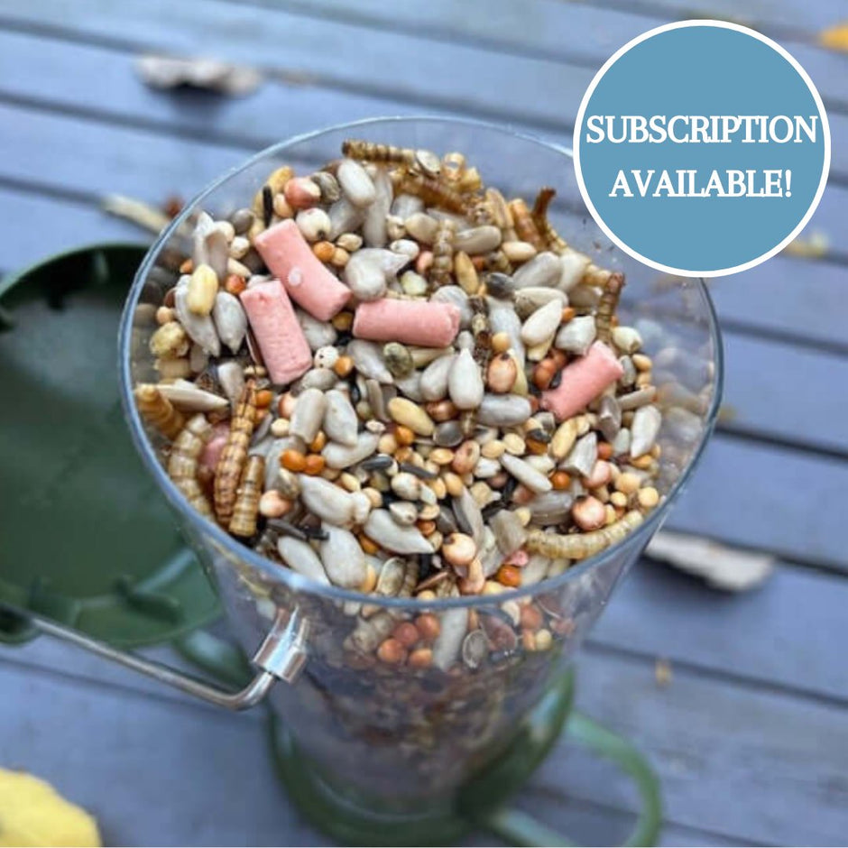 High-Quality Bird Seed Mixes – Haith's UK