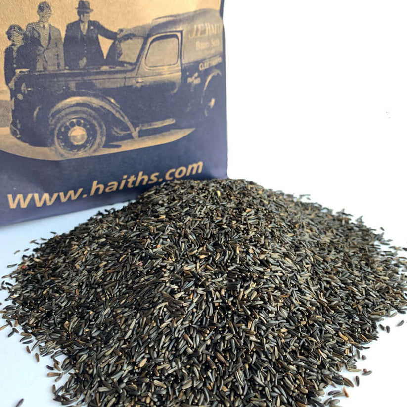 What birds eat Niger Seed? – Haith's UK