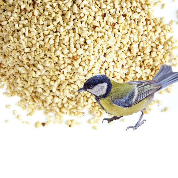 Peanuts for Birds | Wild Bird Food Peanuts – Haith's UK