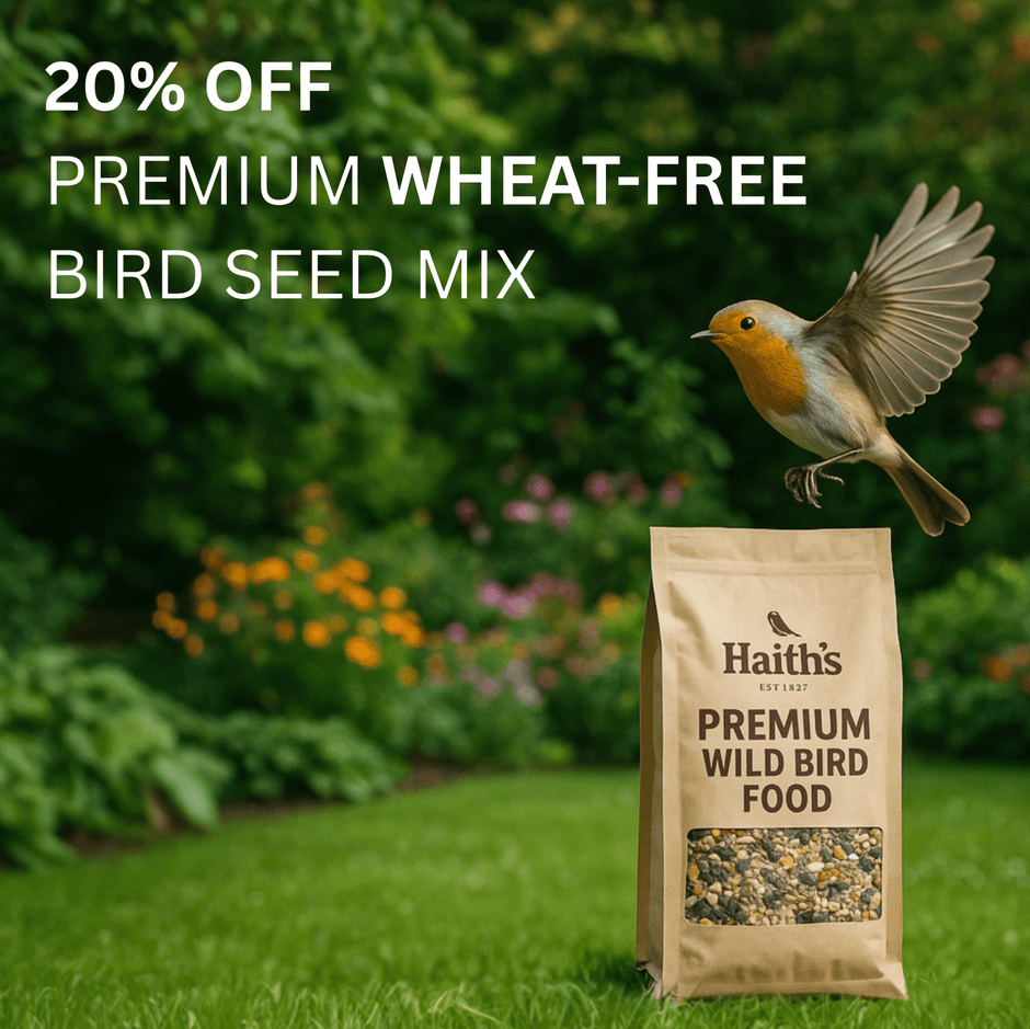 High-Quality Bird Seed Mixes – Haith's UK
