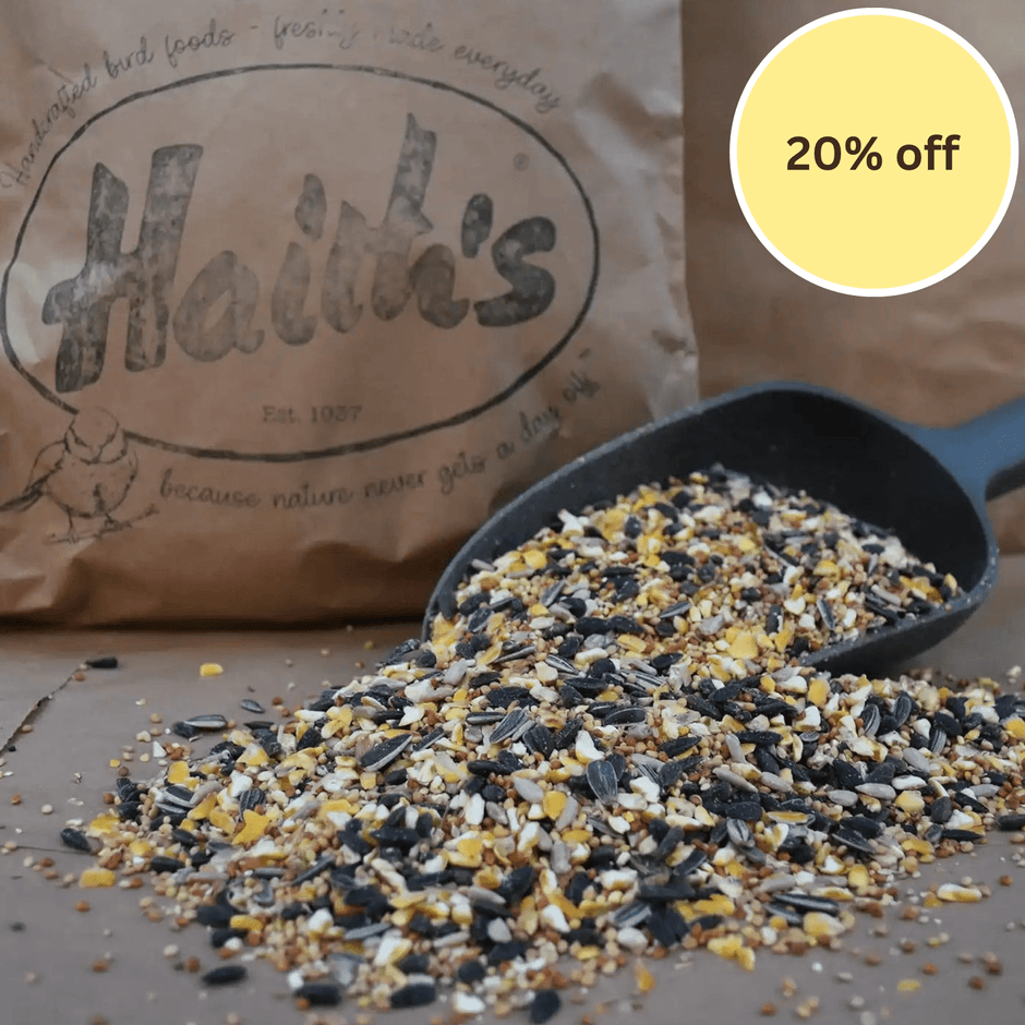 High-Quality Bird Seed Mixes – Haith's UK