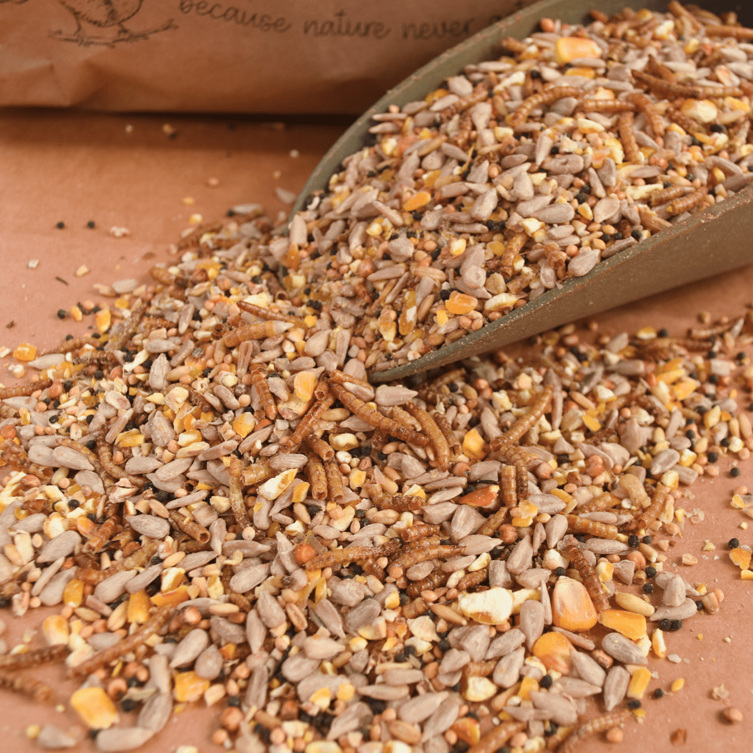 Premium Wild Bird Food, Clean Seed & Feeders – Haith's