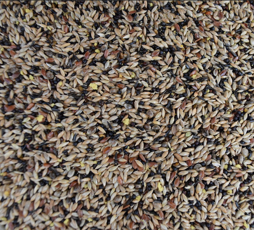 Premium Wild Bird Food, Clean Seed & Feeders – Haith's