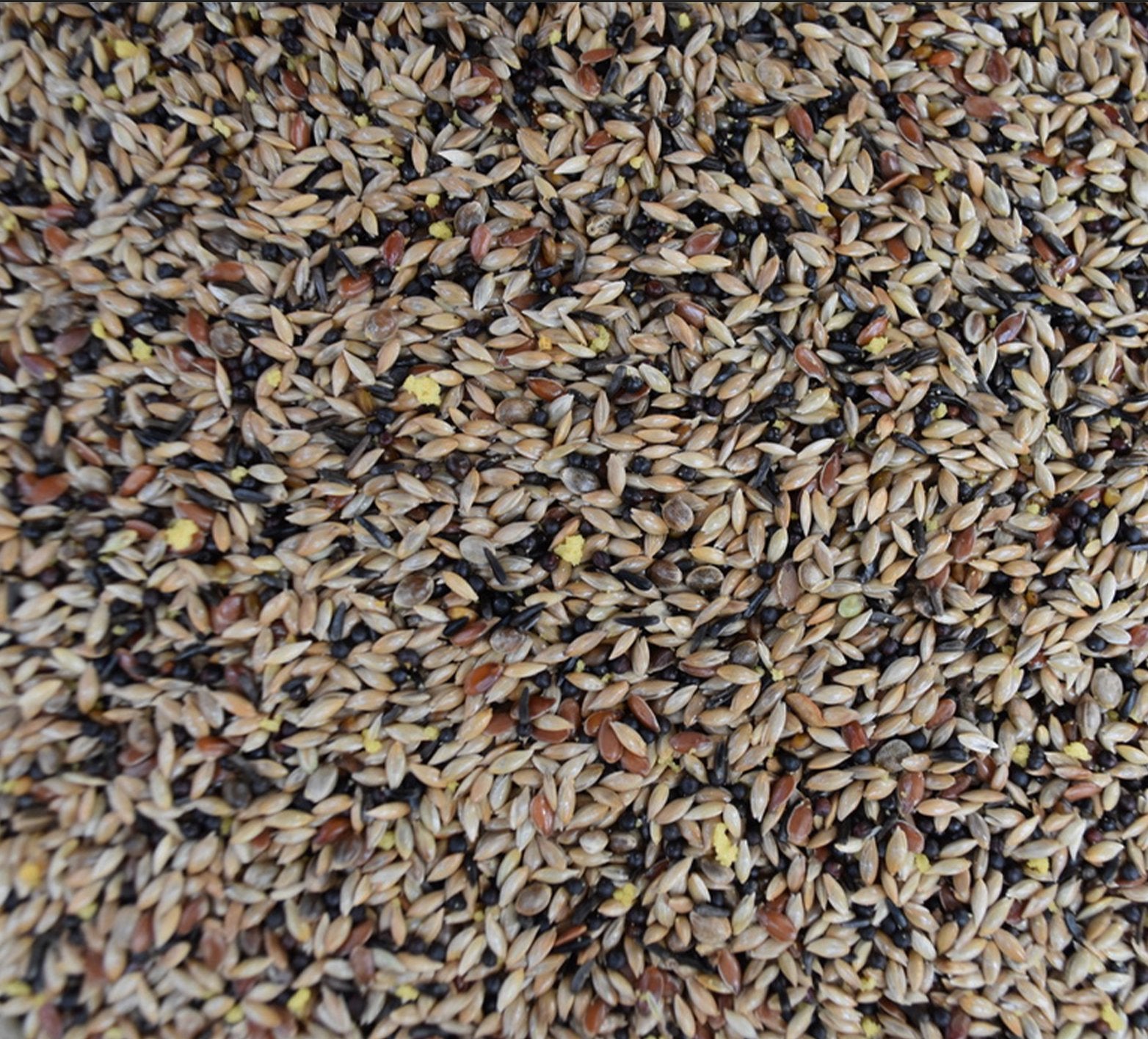 Super Canary Seed – With Yellow Biscuit – Haith's UK