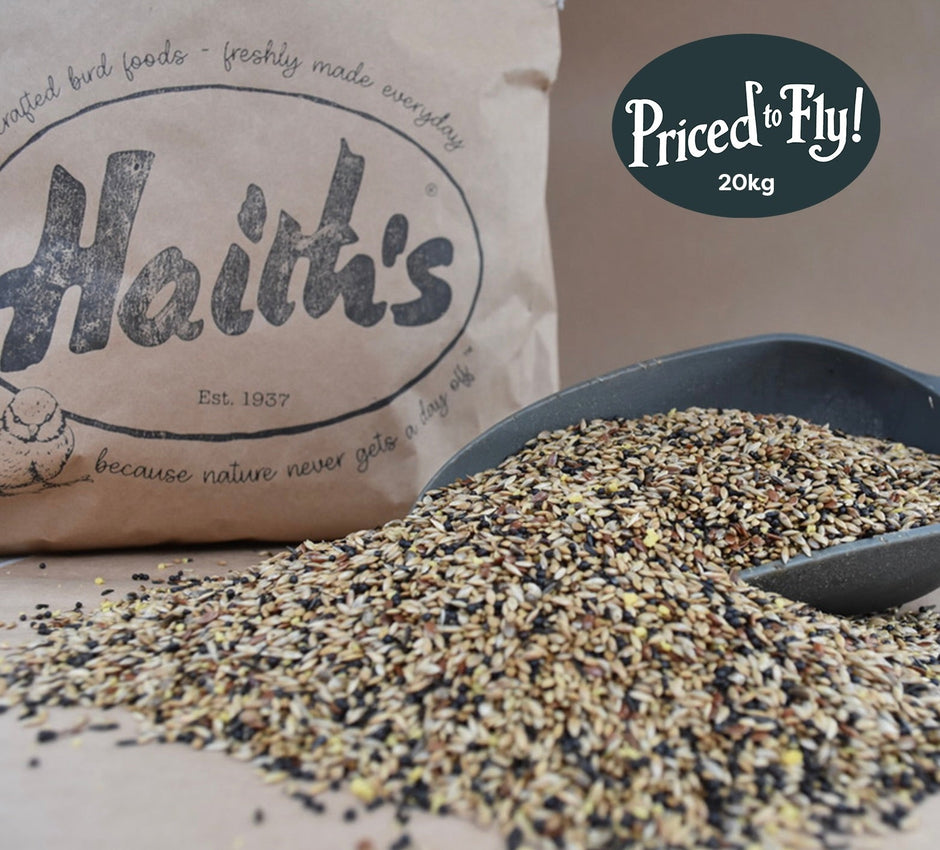 Premium Wild Bird Food, Clean Seed & Feeders – Haith's