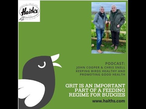Fine Oystershell Grit for Cage Birds – Haith's UK